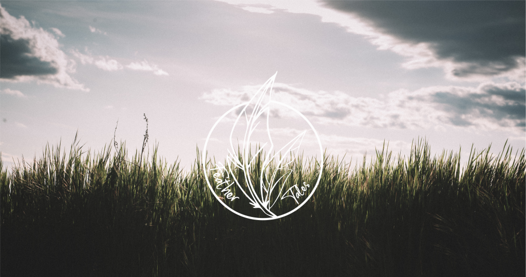 Feather Tales - Becskeházi Gábor Esküvő Videós